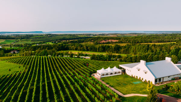 Luckett Vineyards - Wines of Gaspereau Valley, Nova Scotia