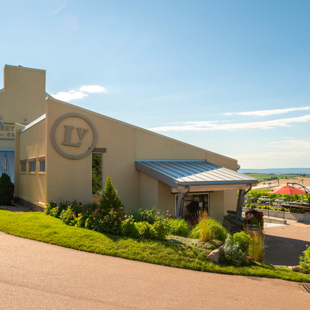 Vineyard Hours & Info - Luckett Vineyards