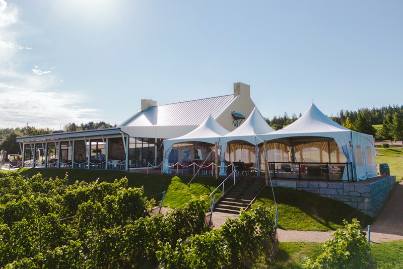 Vineyard Hours & Info - Luckett Vineyards