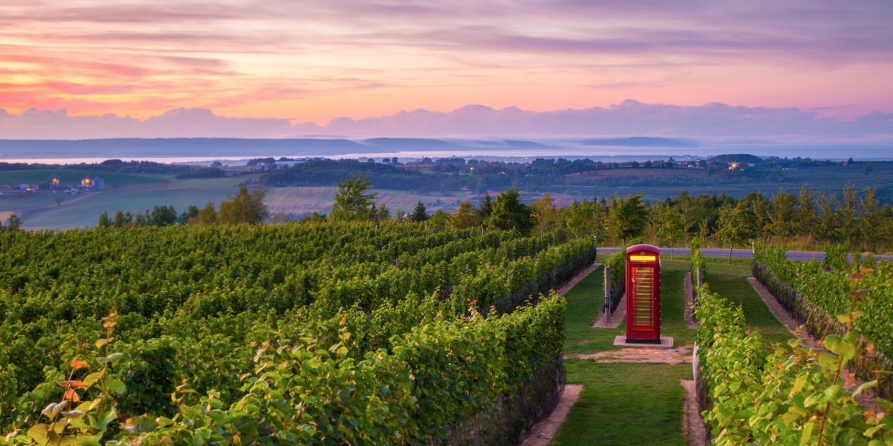 Luckett Vineyards - Wines of Gaspereau Valley, Nova Scotia
