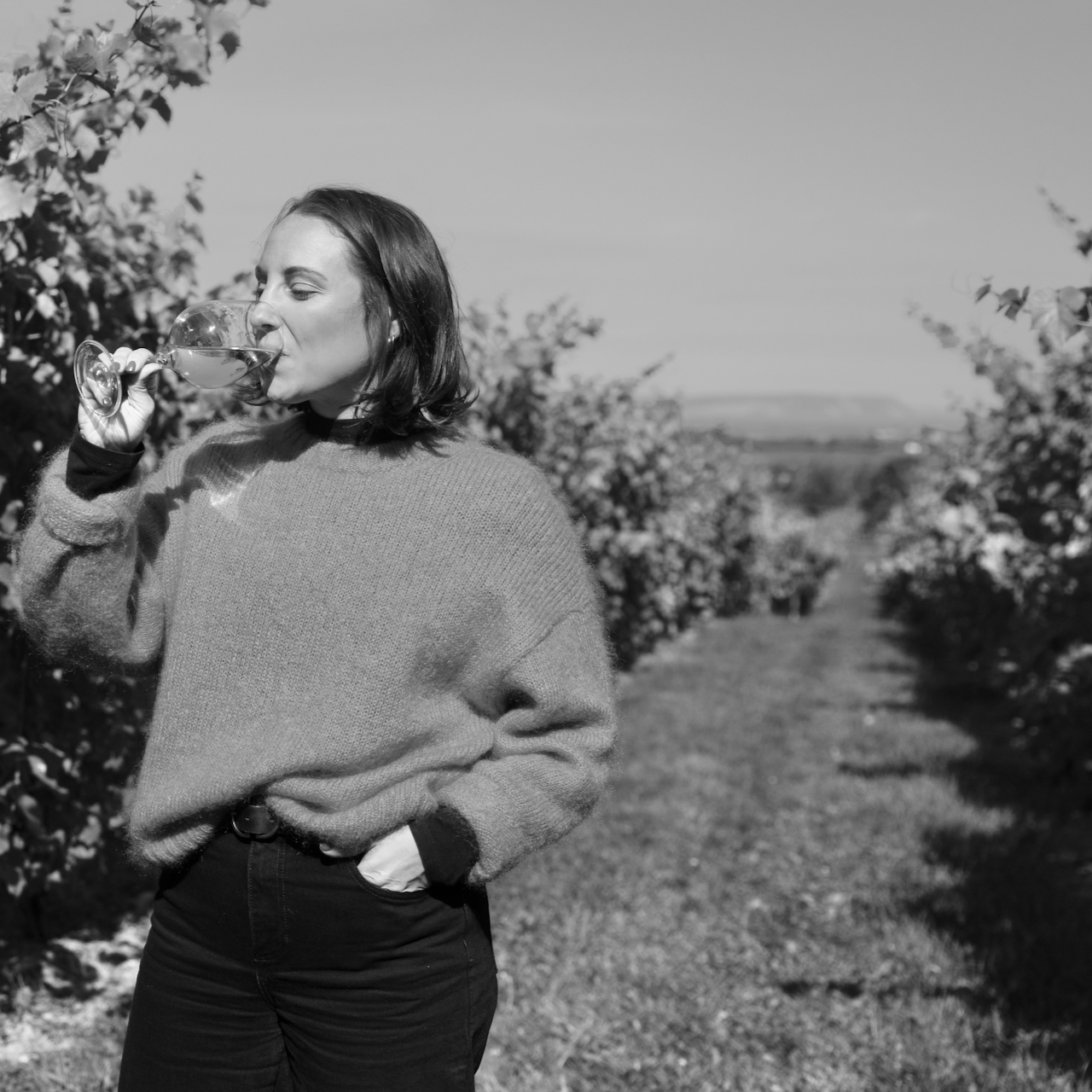 Our Story - Luckett Vineyards