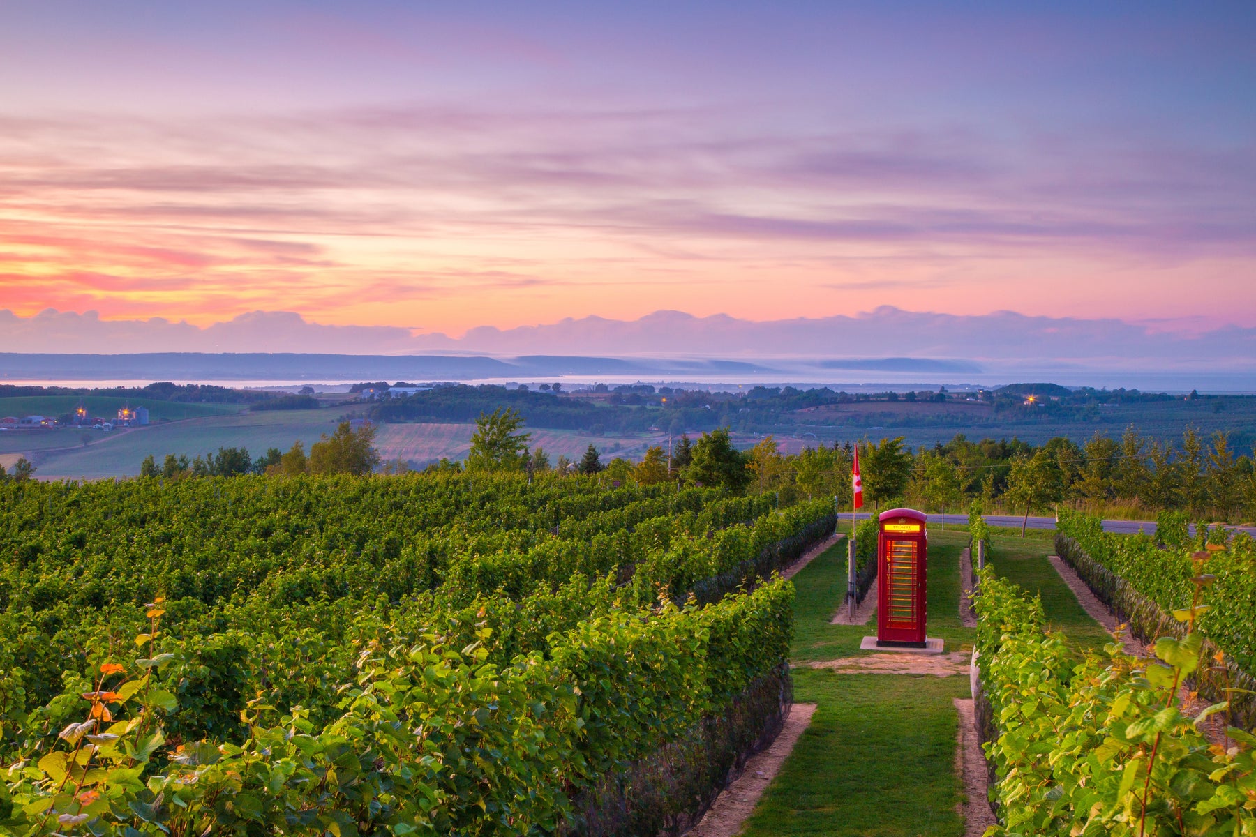 Vineyard Hours & Info - Luckett Vineyards